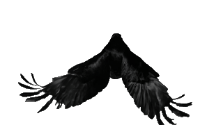 Krow - Next-Gen Discord Bot & AI-Powered Automation